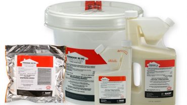 How to Kill Termites: Top 20 Easy Ways You Can Do Today